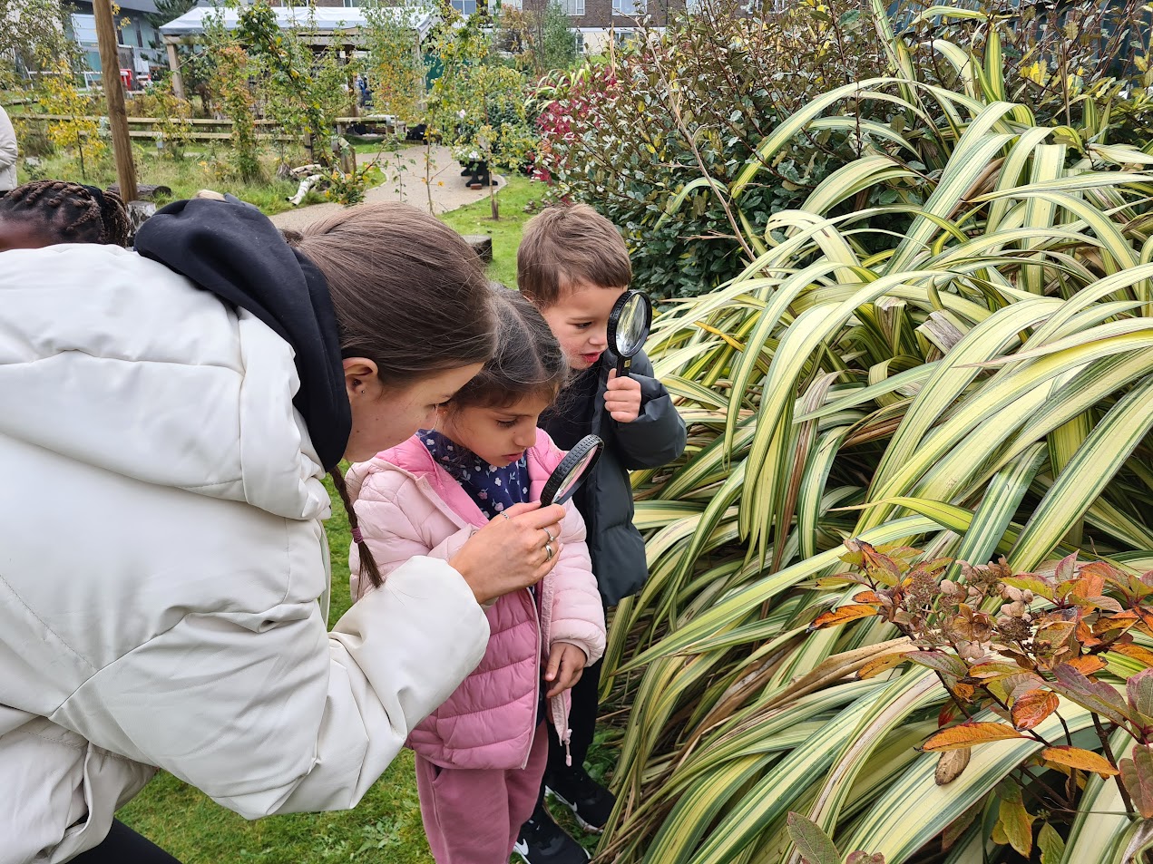 The latest publications from our Natural Curriculum team – Transforming ...